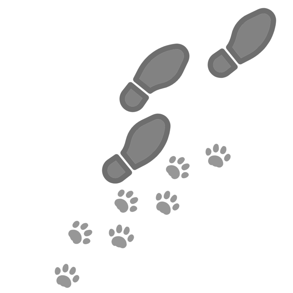 동물의약품과 Extra label use